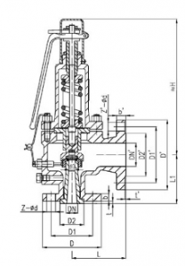 Steam Safety Valve Manufacturer