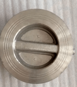 Duplex Dual Plate Check Valve Manufacturer