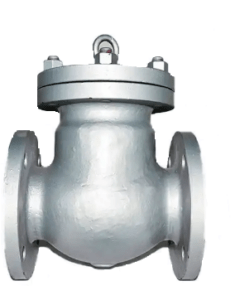 Duplex Swing Check Valve Manufacturer